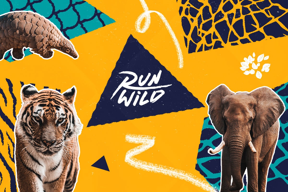 Run Wild Kampagne - Anything But Ordinary
